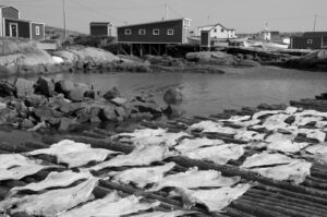 History | Fogo Island | Fogo Island Inn
